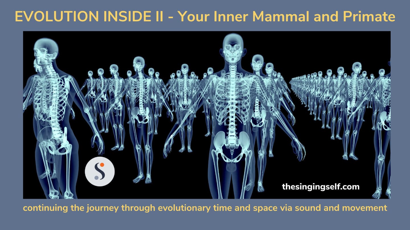 Evolution Inside II The Voice Incorporated [Class Series]